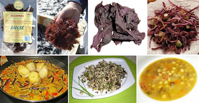 XanaNatura: Algas, Vegetales del mar. Algoterapia
