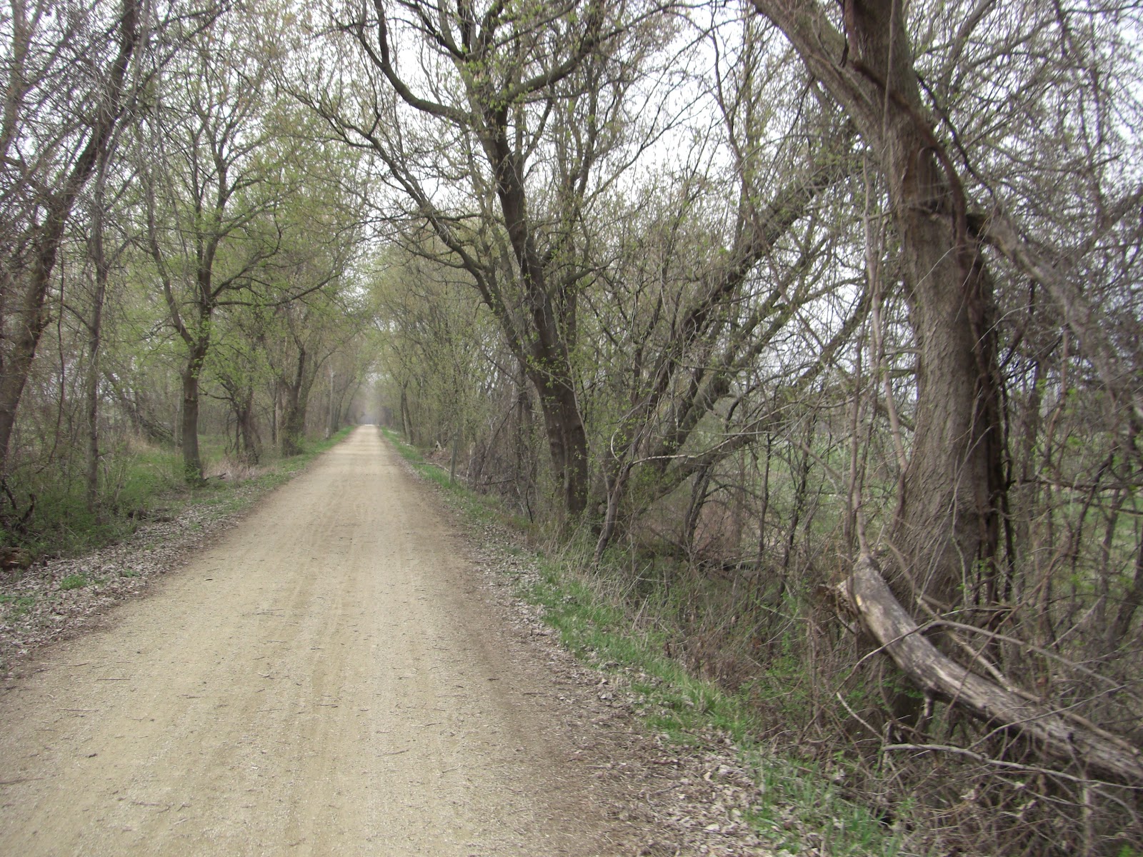 MN Bike Trail Navigator: Trail Photo Gallery: Luce Line State Trail