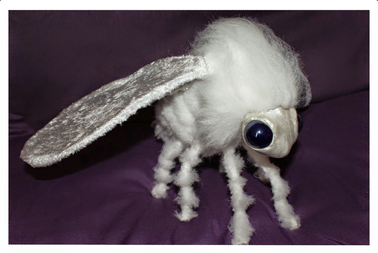 VENEZUELAN POODLE MOTH photos - wallpapers (ανανεωμένο) | the fun bank