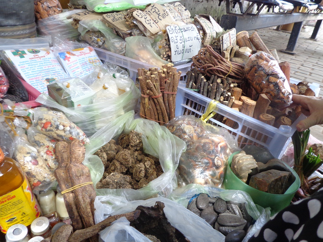 The Frog & The Moon: Pre-Natal Herbal Medicine - Hmong Style