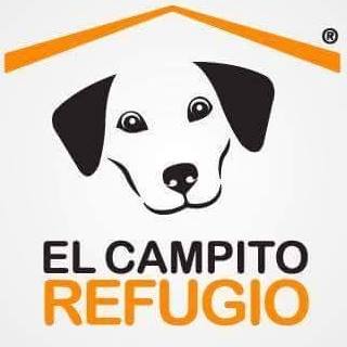 AVE FENIX ARGENTINA : El Campito Refugio. BUENOS AIRES Provincia GBA zona sur