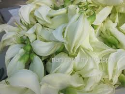 Fantasy & Kuliner blog: Bunga-Bunga yang Lezat Untuk Disantap