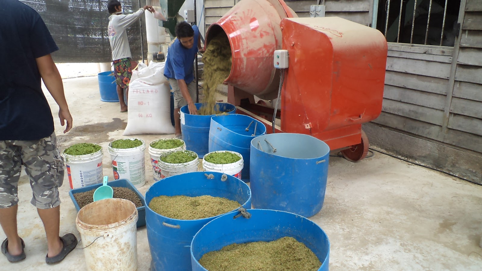 Eco Bioweed: Making Duckweed into feed pallets