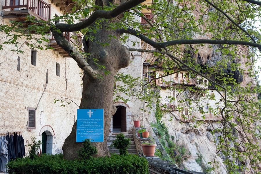 ΓΙΑΝΝΗΣ Δ.ΛΥΡΑΣ: ΓΕΝΕΑΛΟΓΙΚΟ ΔΕΝΔΡΟ ΠΕΡΙΚΛΗ ΚΟΝΙΑΡΗ, ΑΠΟ ΜΟΥΛΑΤΣΙ ...