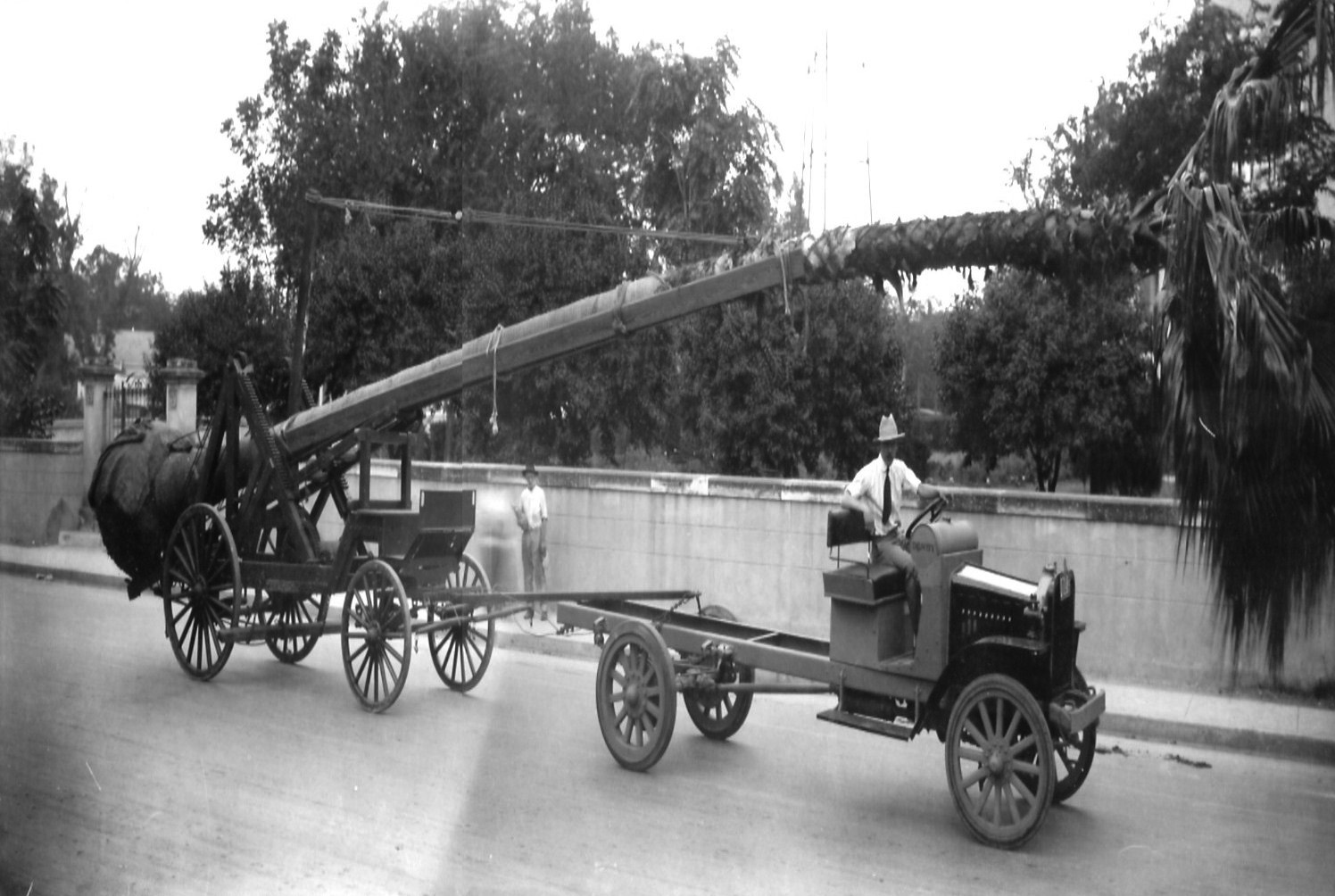 Just A Car Guy: the palm tree delivery truck