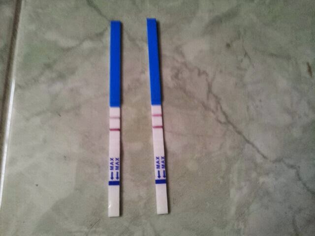PREGNANCY TEST (UPT) MURAH GALLERY | Ovulation test kit (opk ...