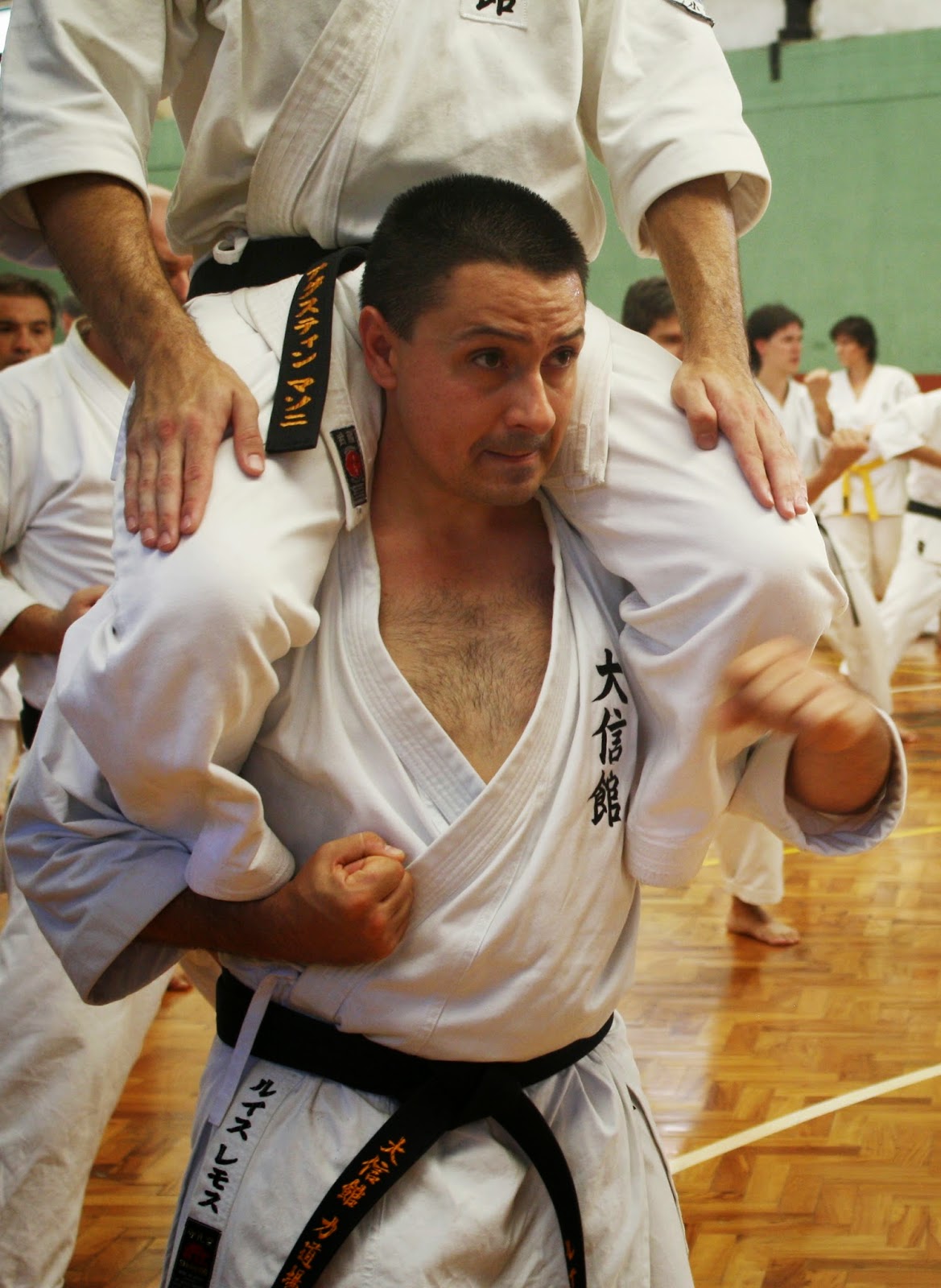 SHORIN RYU TAISHINKAN: marzo 2015