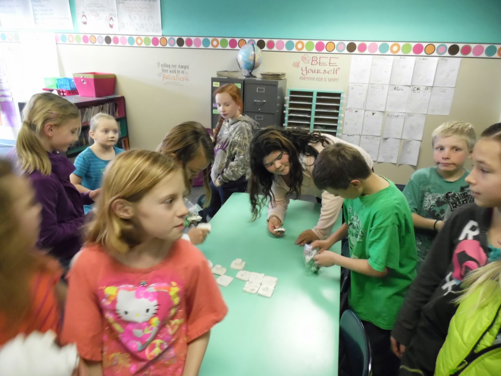 Loa Elementary School: 4th Grade Fossils - By Kassen Pace