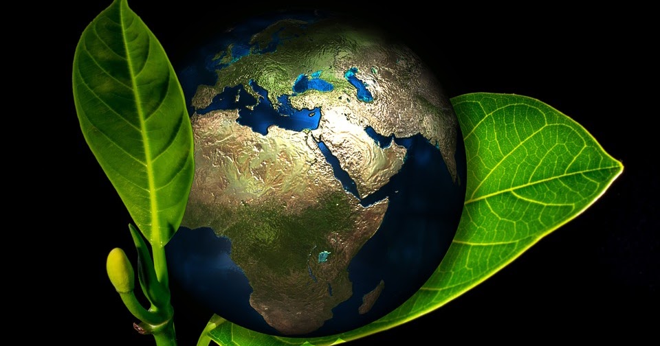 GENERAL FORMATIONS OF GLOBAL INFORMATIONS: GLOBAL ECOLOGY PROTECTION ...