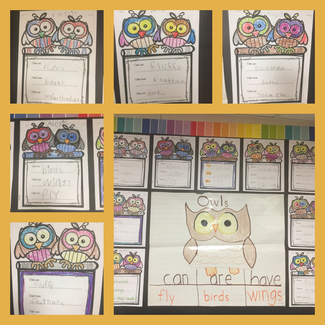 Mrs. Torres' Kinder Class: All About Owls