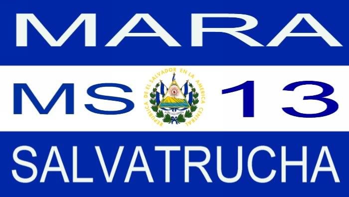 MARA SALVATRUCHA 13: MARA SALVATRUCHA 13