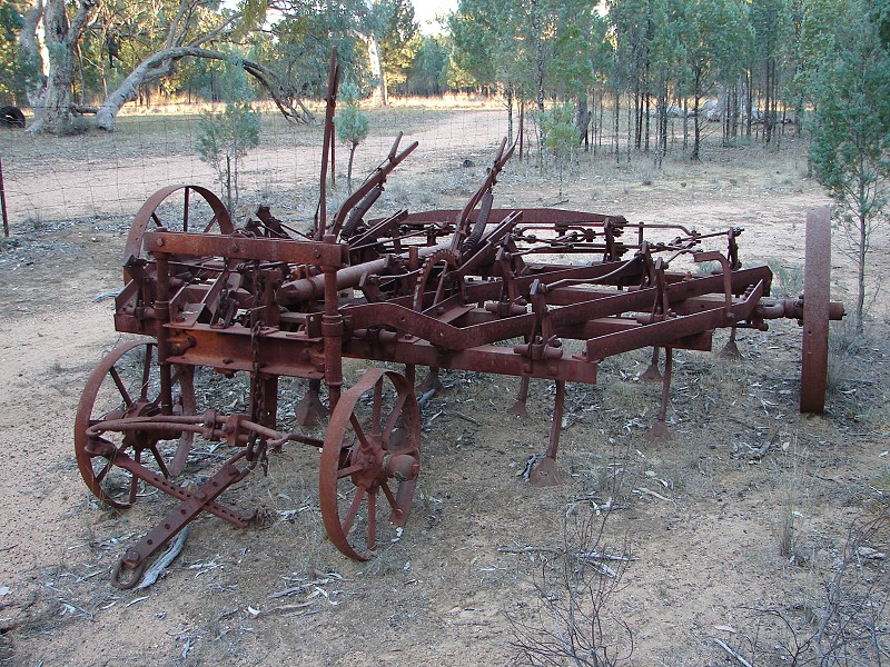 Snap Happy Birding: Scarifier from days of old