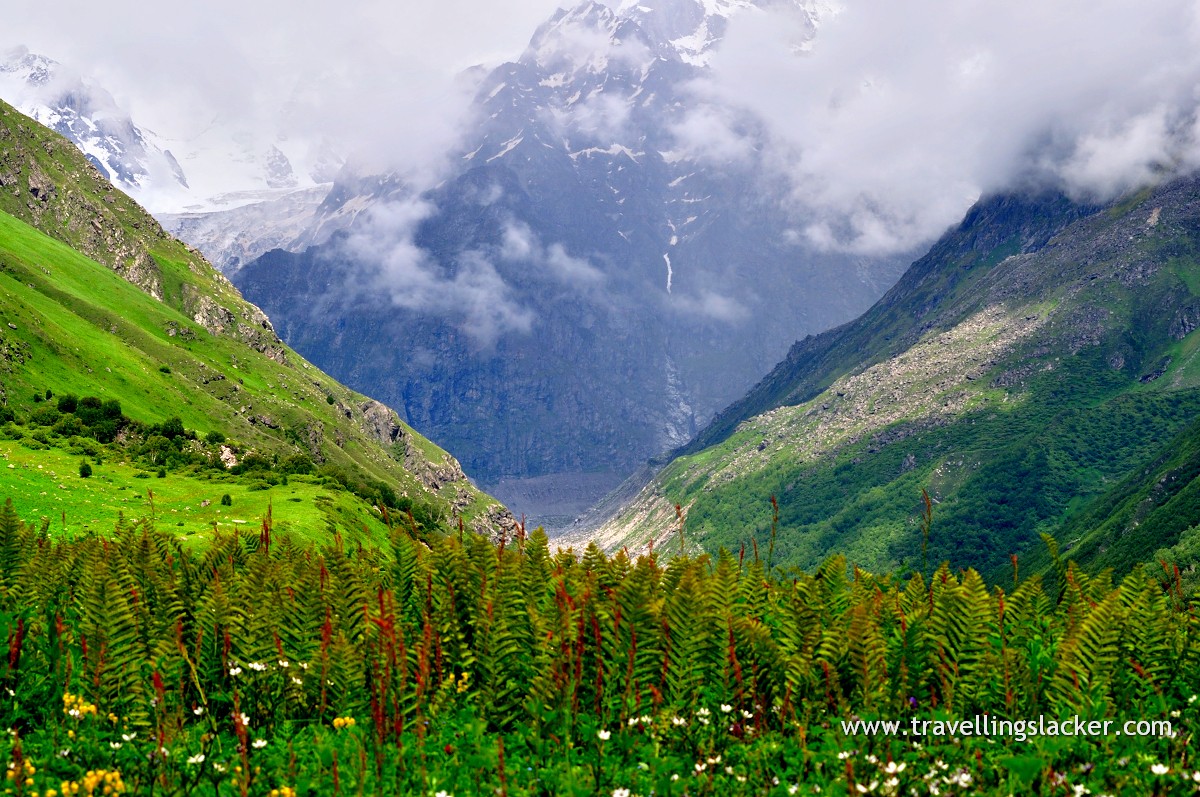 Bakhit Sabiha Khan's journey..: Valley of Flowers (Uttarakhand)