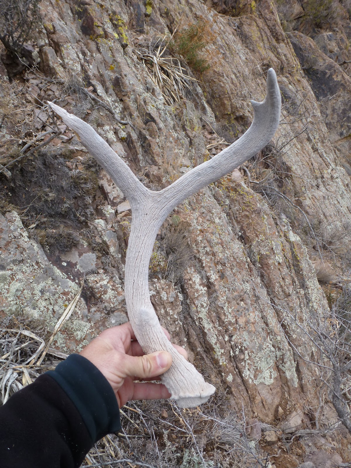 The Continuing Adventures of Eric, Noelle and Sierra: Dripping Springs ...