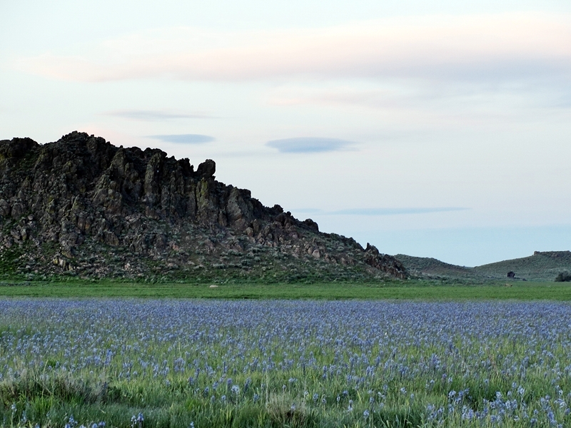 Idaho Travel: Things To Do: Idaho Vacation: Camas Prairie Centennial ...