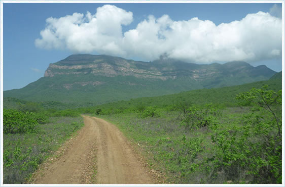 LOS MEJORES LUGARES QUE PODRÁS VISITAR: LAQUIPAMPA Y CHAPARRÍ: abril 2016