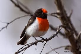 A Spoonful of Robin: Greek Week: Get a Taste of the Greek History