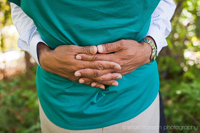 Shari Hanson Photography: 2012