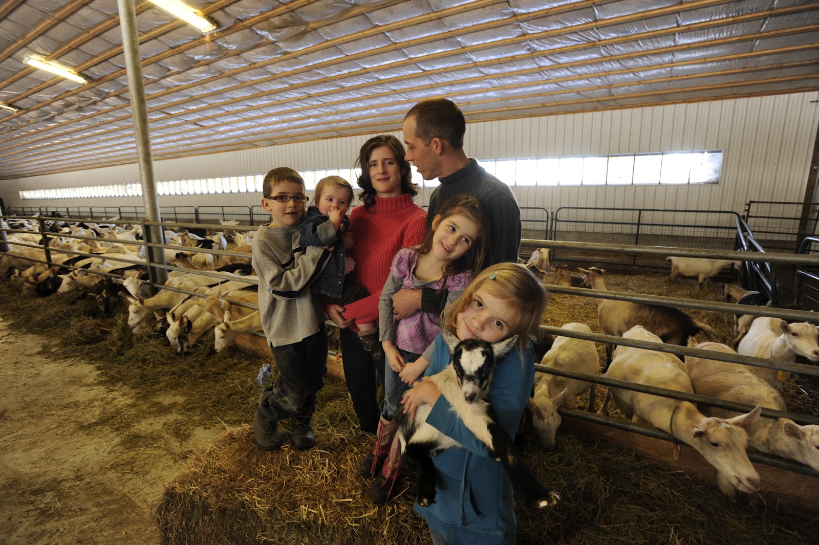 Rock Ridge Dairy: About our Farm