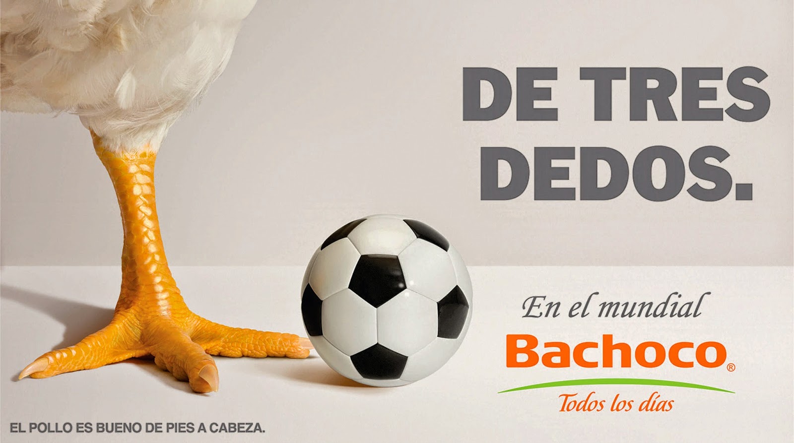 .: PROMOMARK [NEWSLETTER]1222