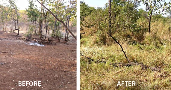 the Whiteboard: (Advanced) Allan Savory: How to fight desertification ...