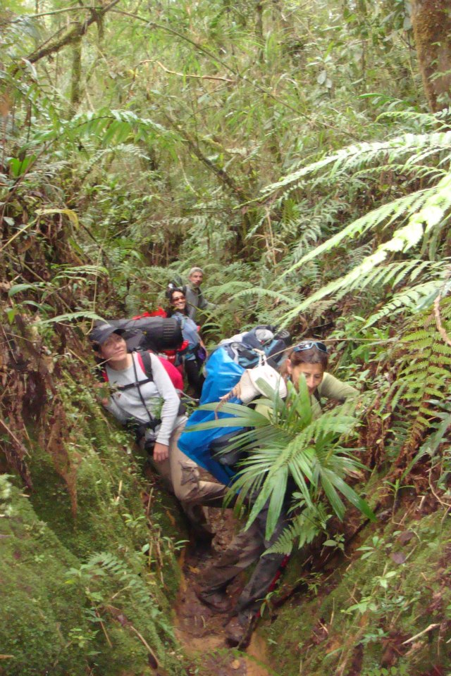 CEAC: CAMINO PRECOLOMBINO DEL YUNGA CRUZ