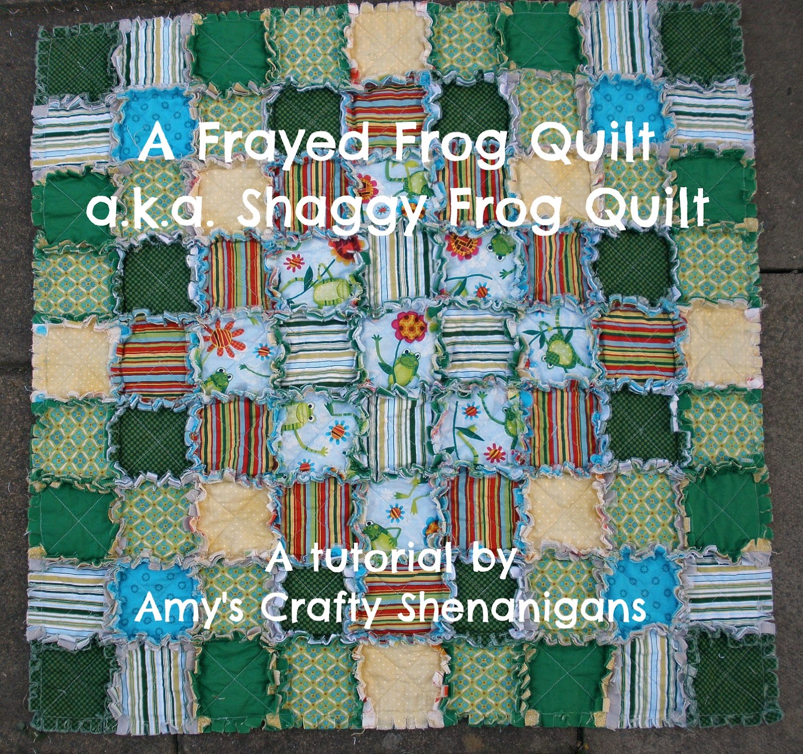 [Amy's] Crafty Shenanigans: Let's Get Acquainted ~ A Frayed Frog ...