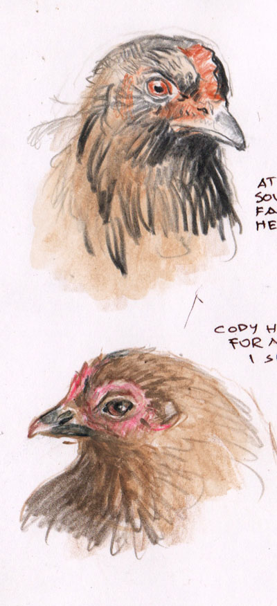 Gurney Journey: Chicken Sketches