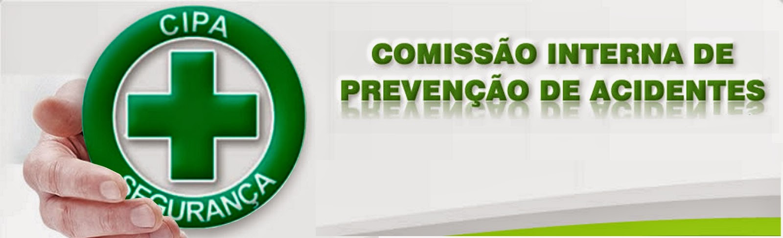 CIPA 2010 - G.M. CPS ____