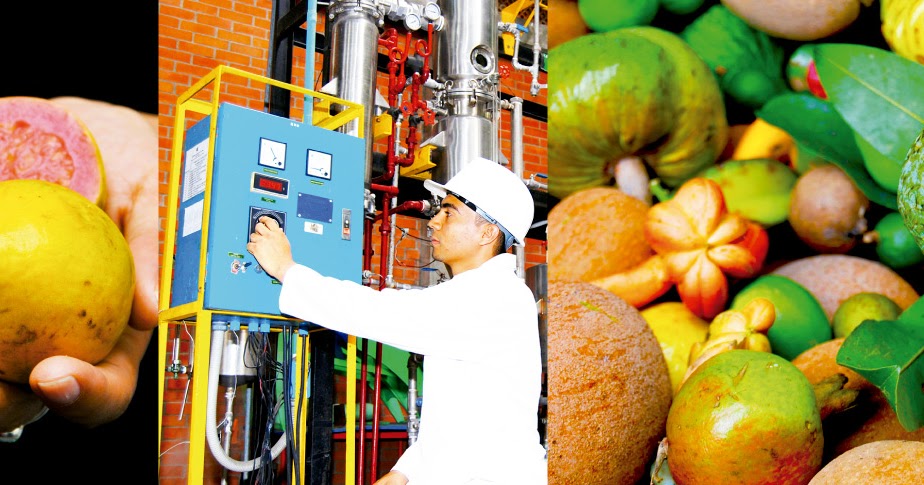 Ingeniería Agroindustrial: ¿Dónde trabaja un Ingeniero Agroindustrial?