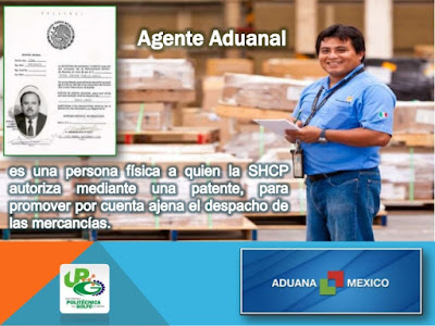 agente aduanero