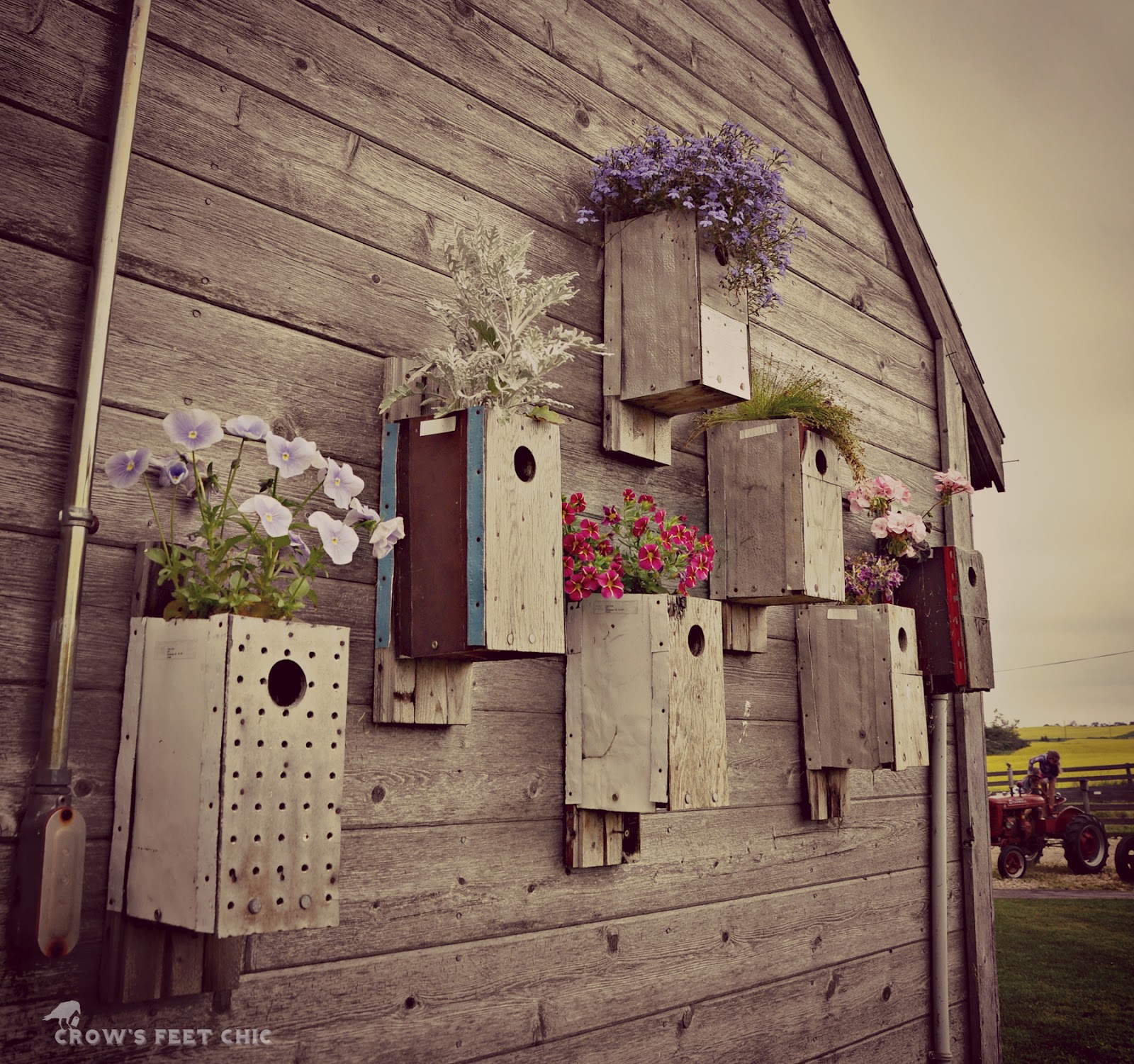 The Ellis Bird Farm | Crow's Feet Chic