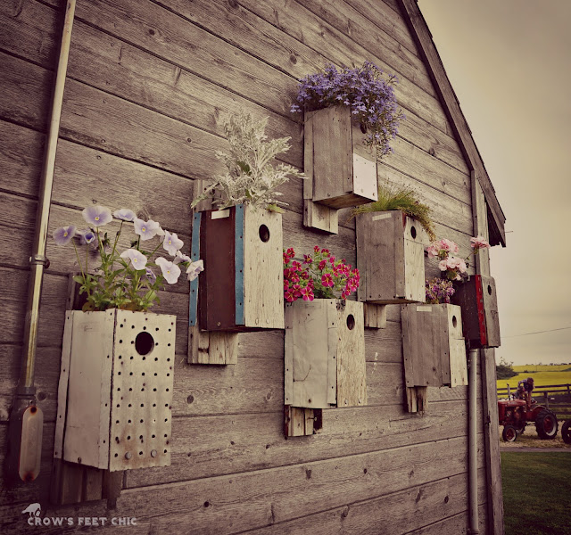 The Ellis Bird Farm | Crow's Feet Chic