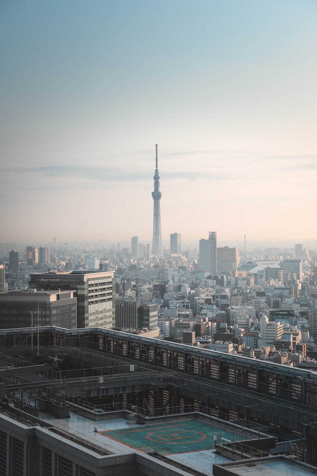 What to Do in Tokyo: 10 Experiences to Have — LEVITATE STYLE