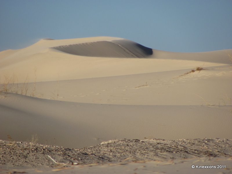 kinexxions: Monahans Sandhills State Park