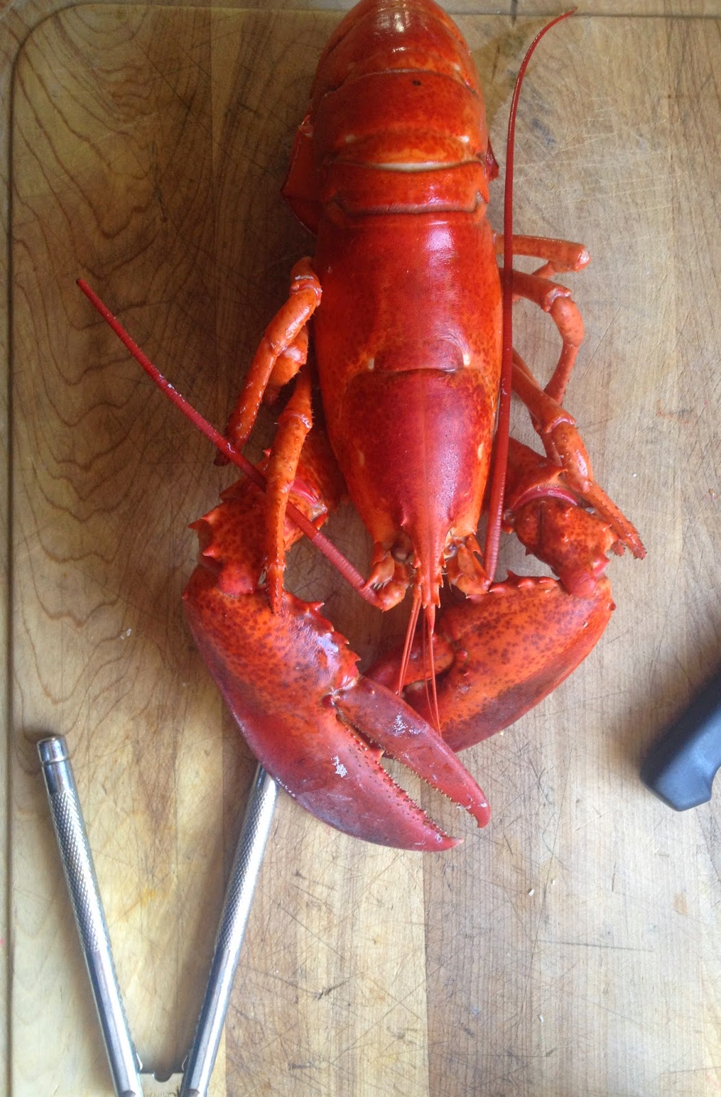 All Sauced UP! And nowhere to go..