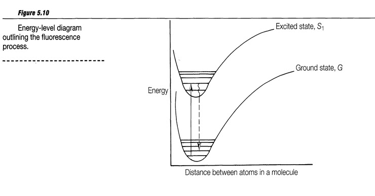 Fluorescence Spectroscopy Principles ~ Chemistry Dictionary