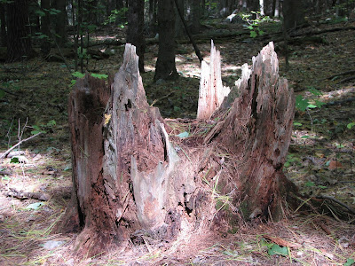 Red Rocks Park -South Burlington, Vermont | Litter with a Story To Tell