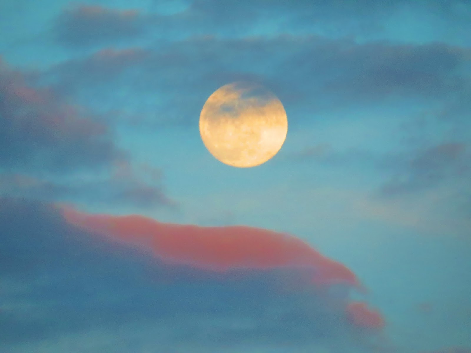 Let Your Light Shine: There's A Moon Out Tonight