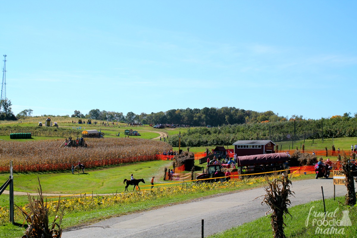 Frugal Foodie Mama: Family Fall Fun at Triple B Farms