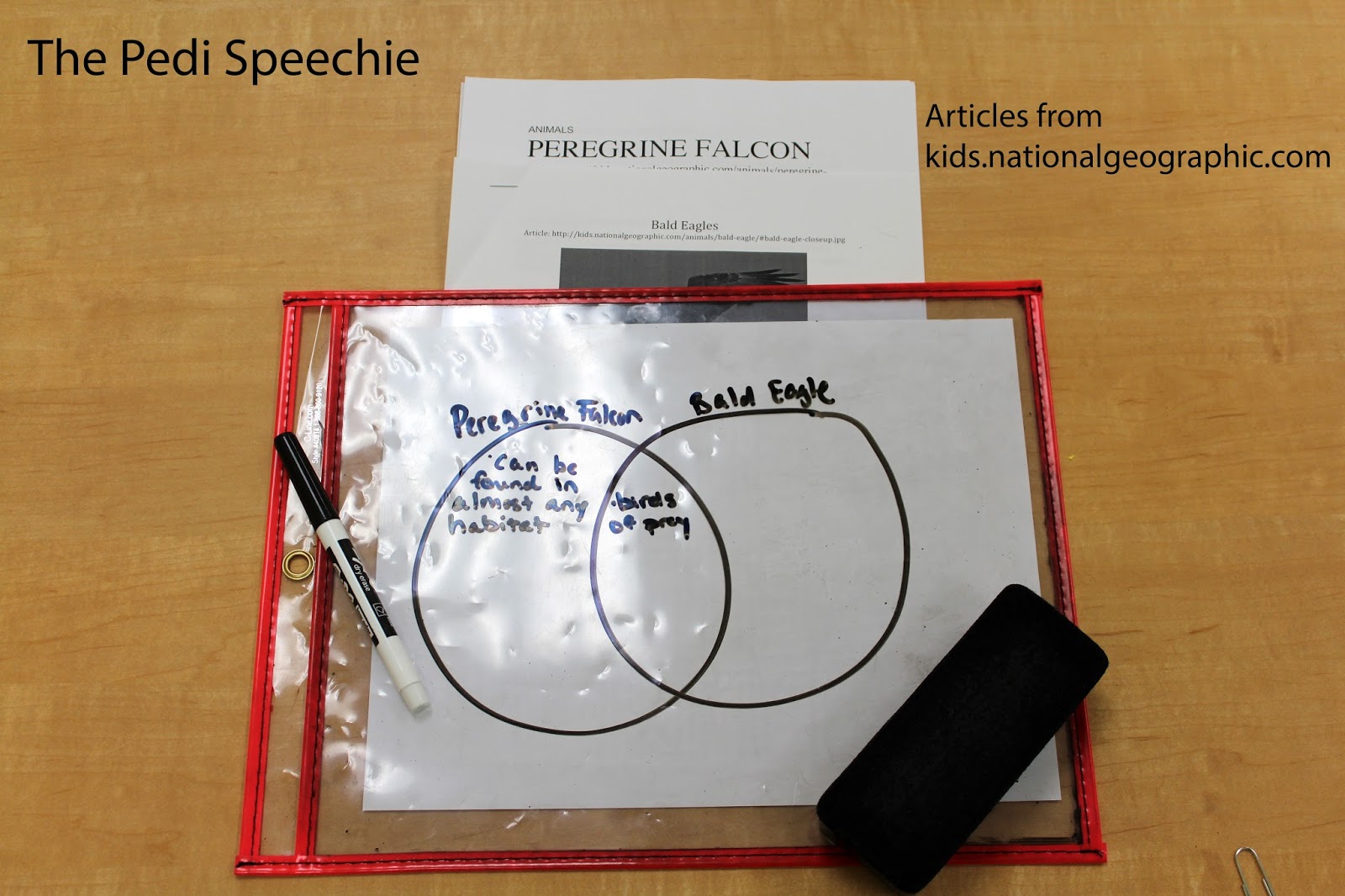 February Speech Therapy - The Pedi Speechie