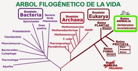 Ciencias Naturales