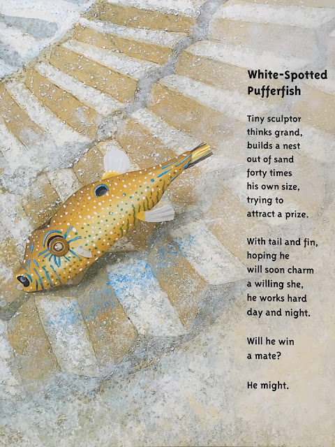 TeacherDance: Poetry Friday - All For The Family