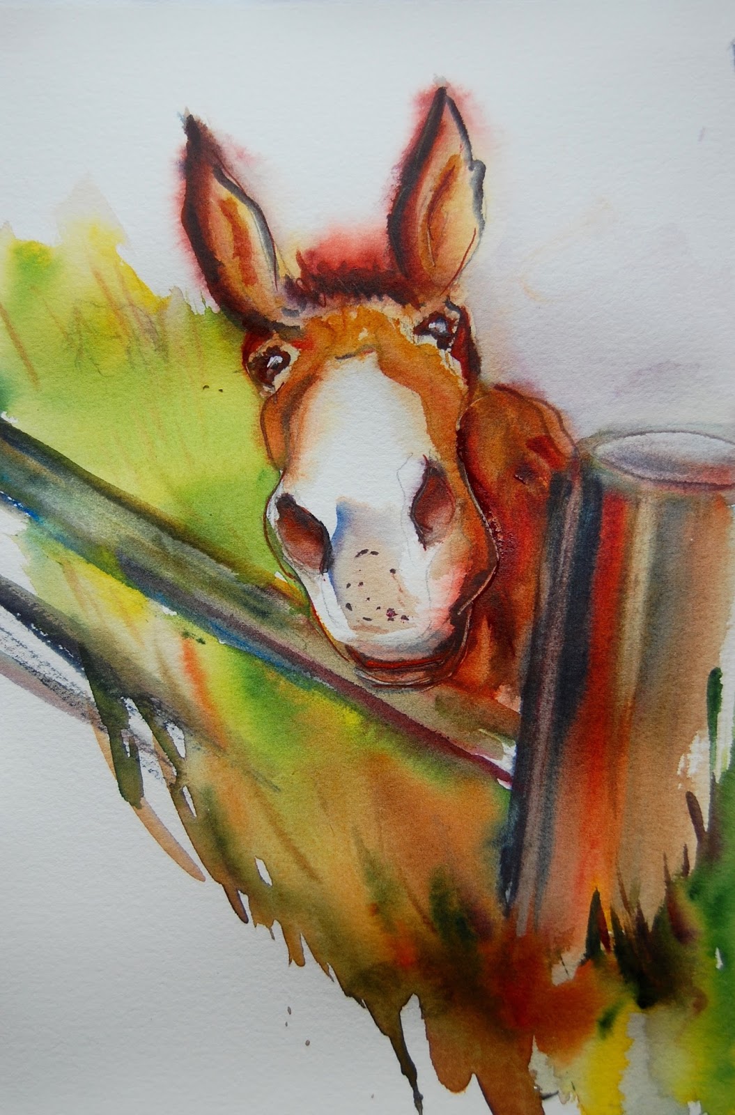 Watercolors by Bertie Brown: Donkey-Oaty Watercolors by Bertie Brown