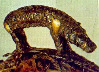 Artful Voyage: The Boar of the Anglo-Saxons