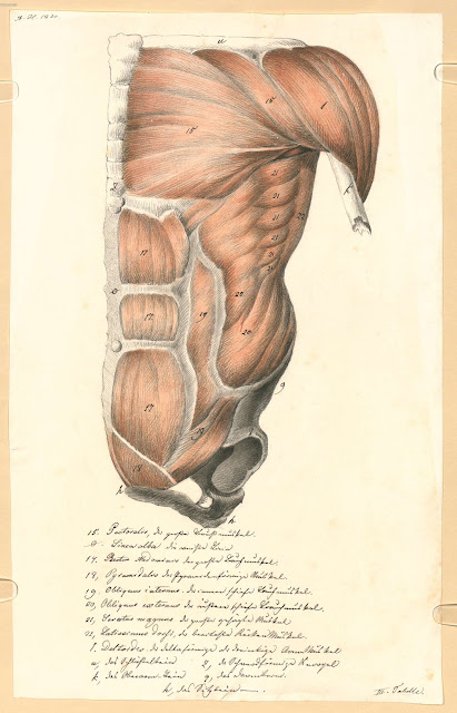 facsimilium: May 2012