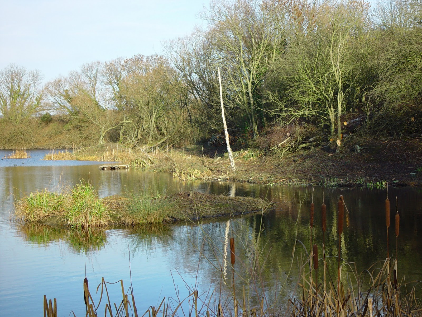 Il giardino delle Naiadi: CREARE UN ISOLETTA