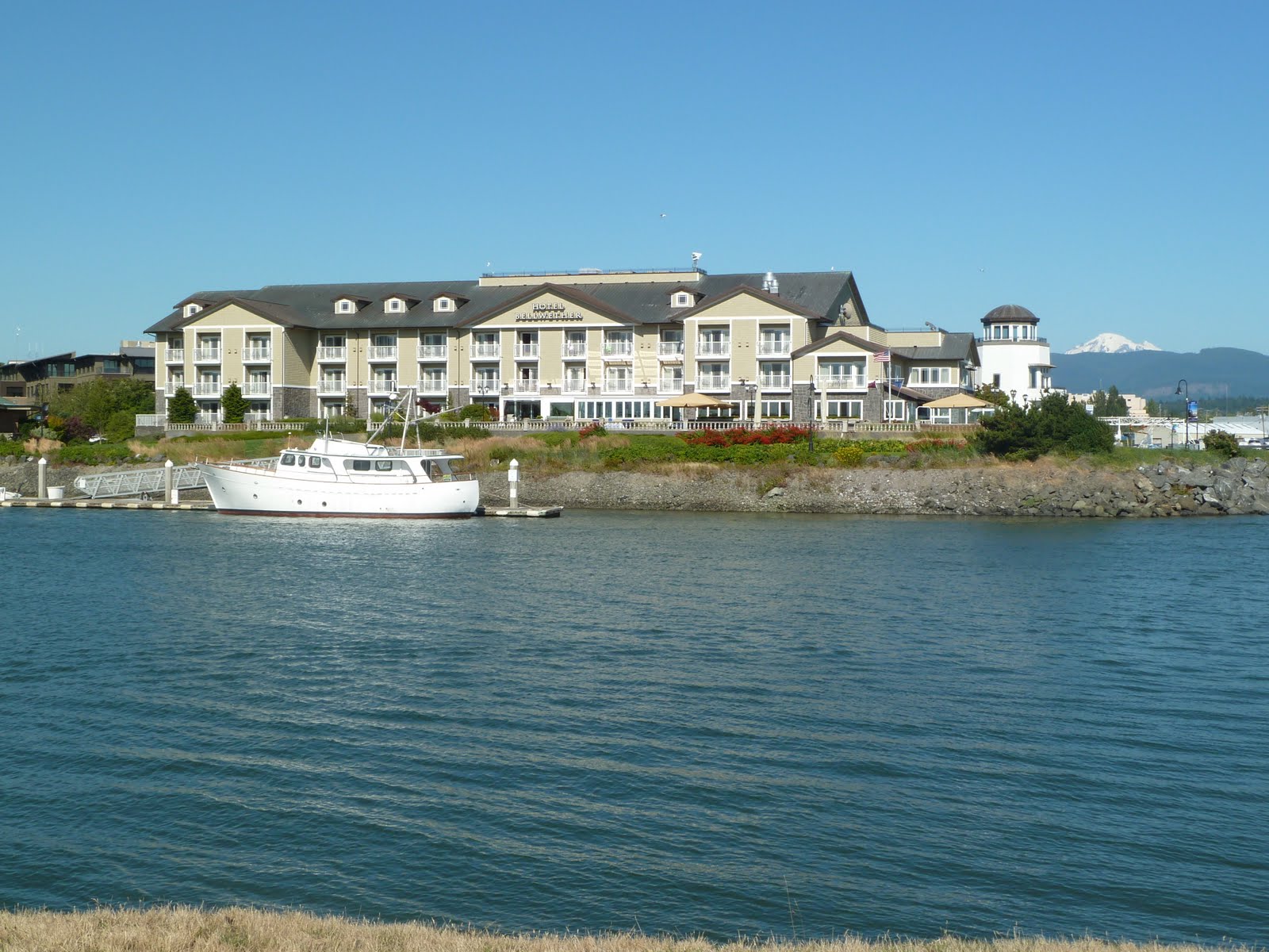 The Evans Family: Squalicum Harbor