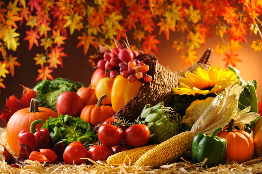 Tasty Bites: Fall Feast, Autumn Harvest!!