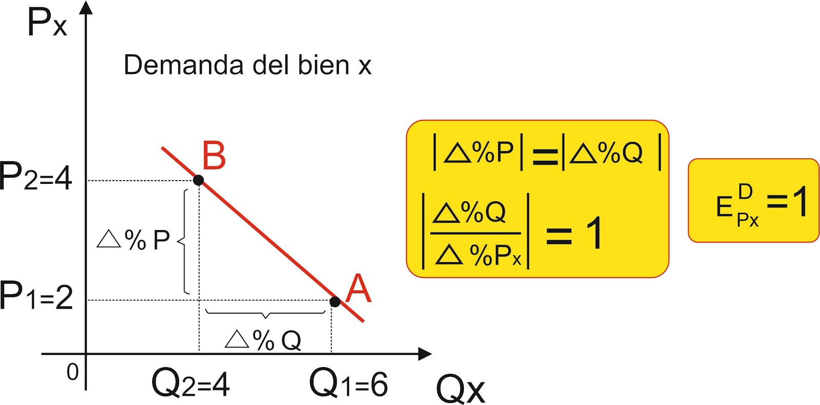 Economía: ELASTICIDAD PRECIO DE LA DEMANDA